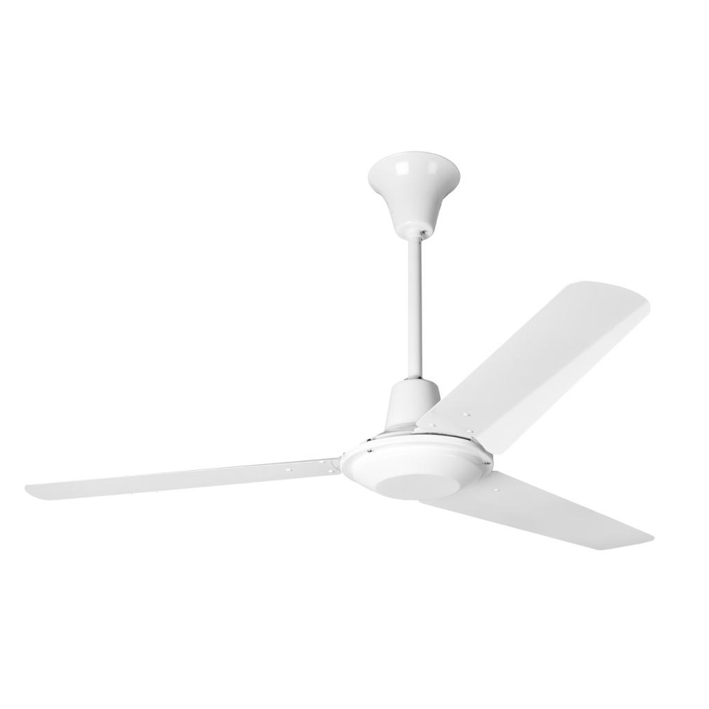 Ceiling Fans