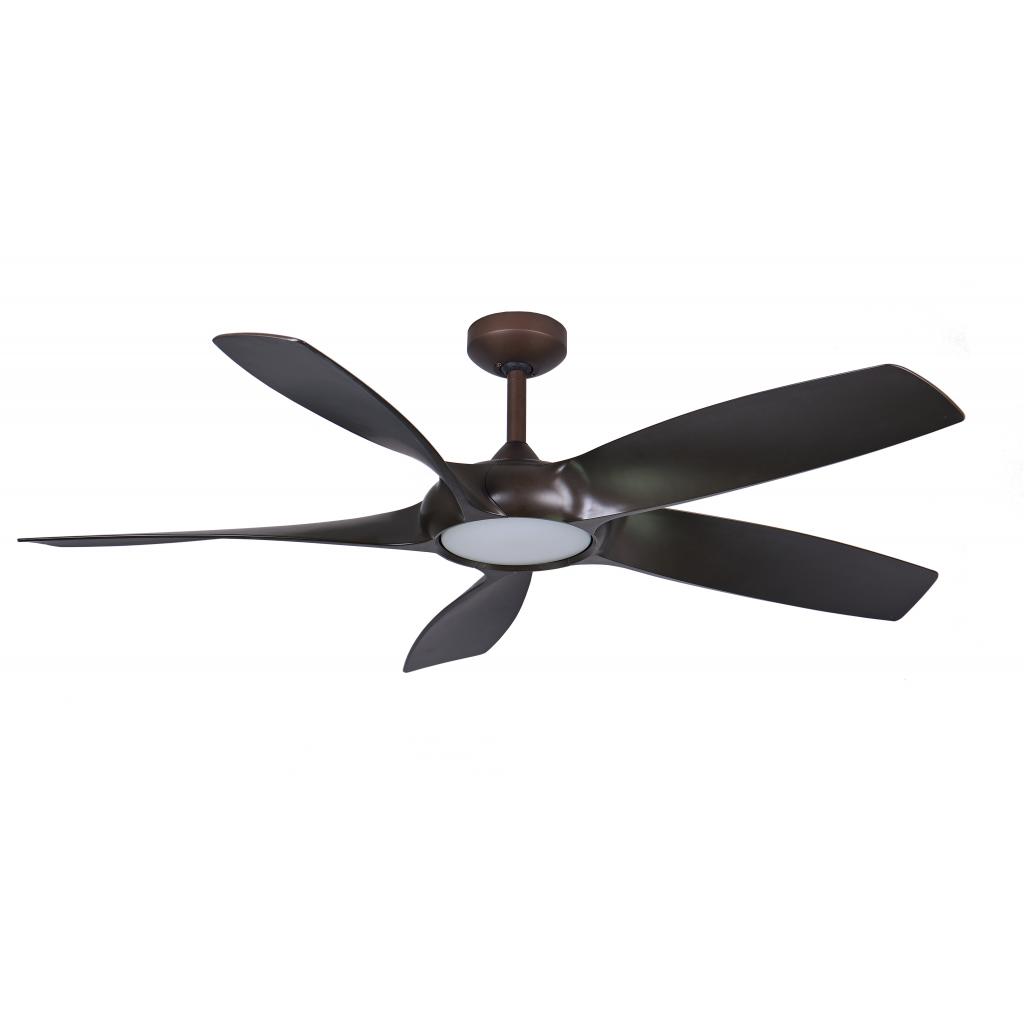 Ceiling Fans