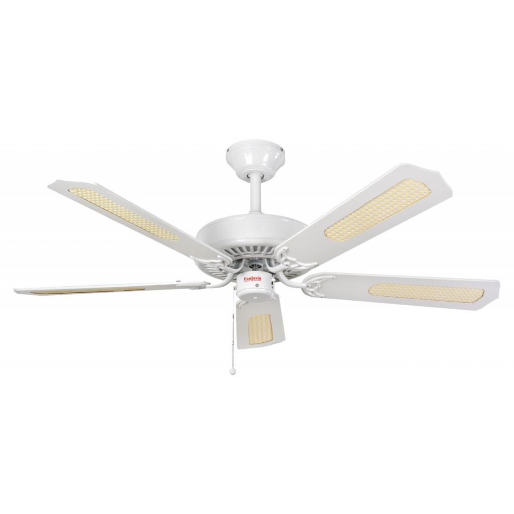 Ceiling Fans