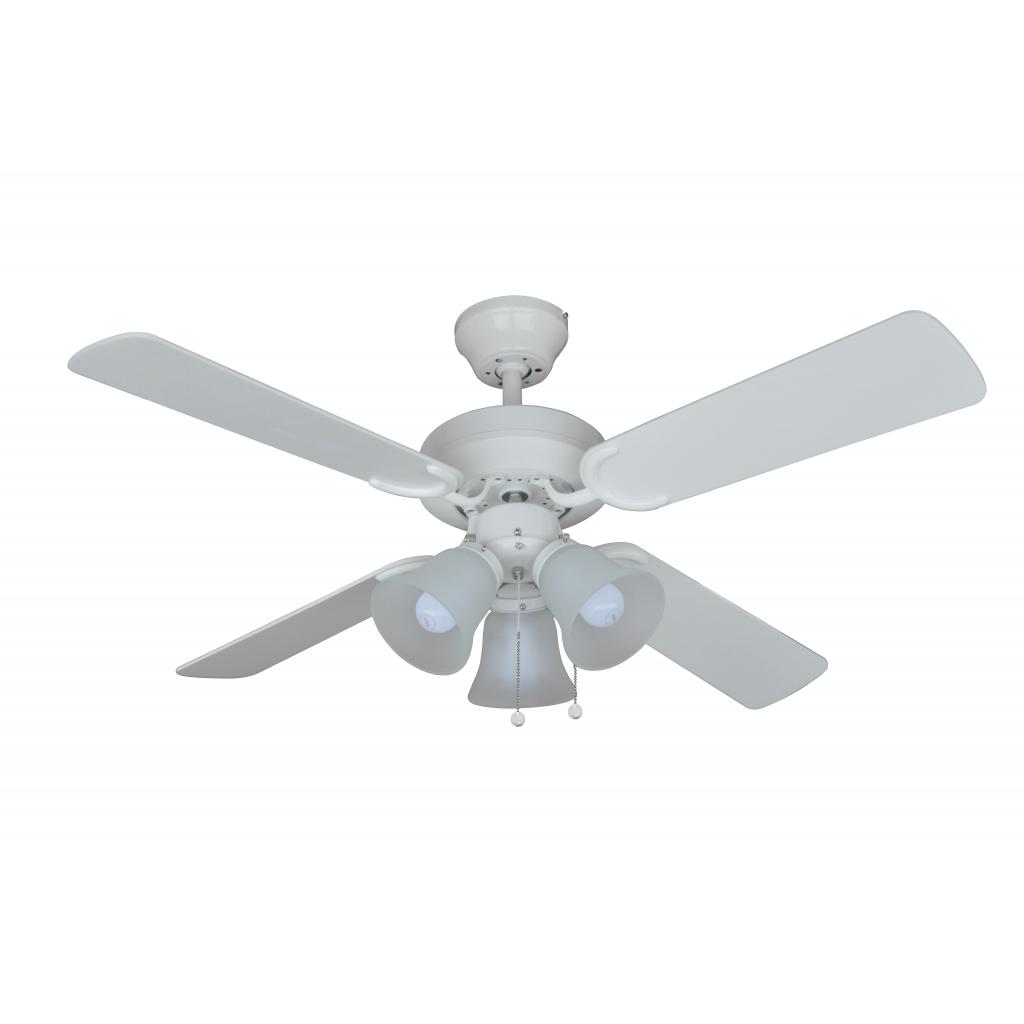 Ceiling Fans