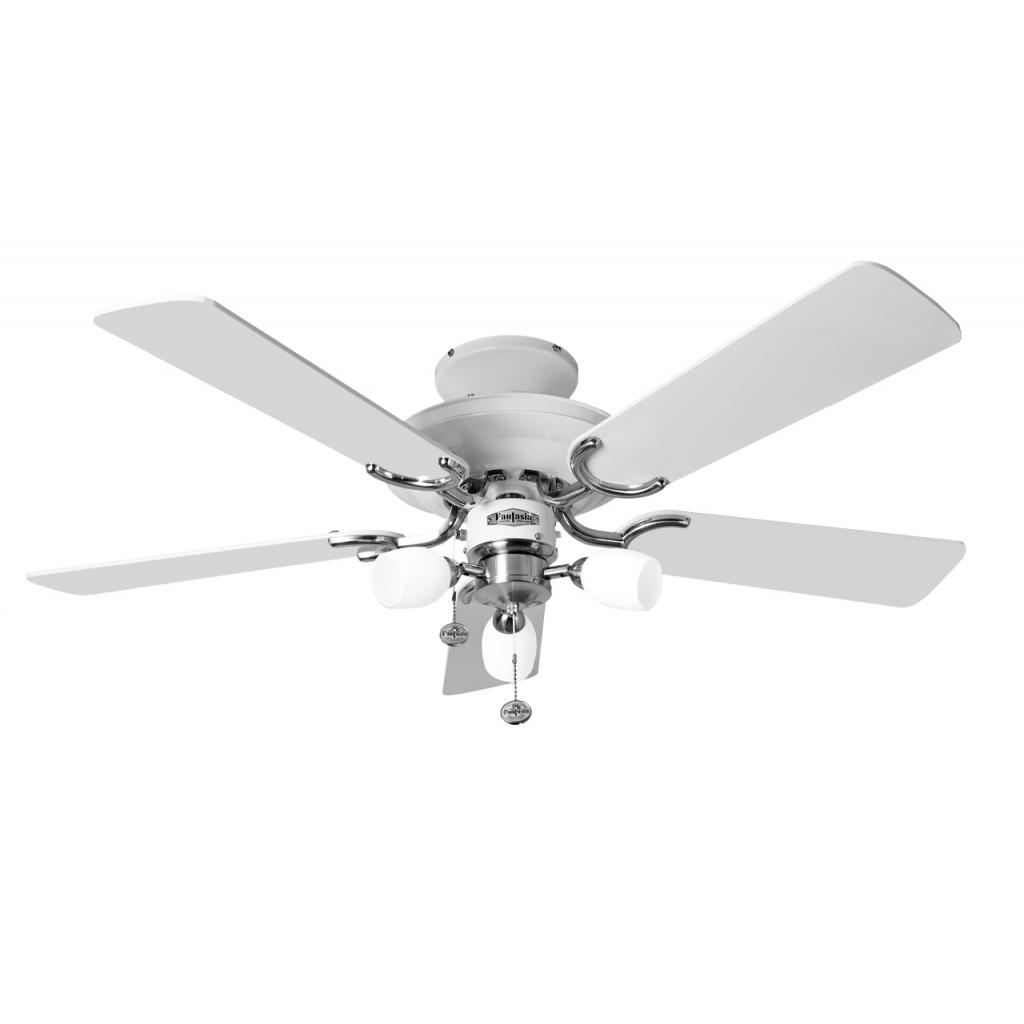Ceiling Fans