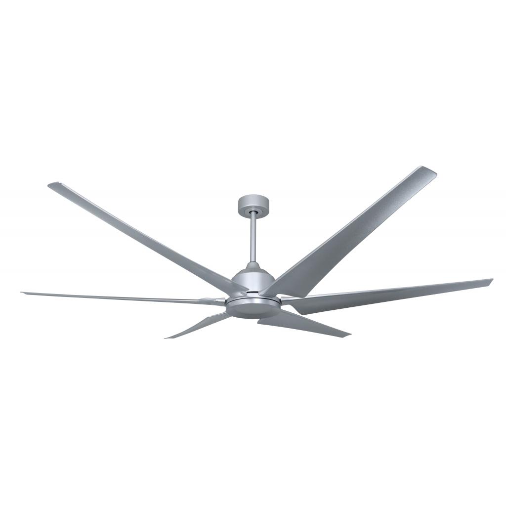 Ceiling Fans