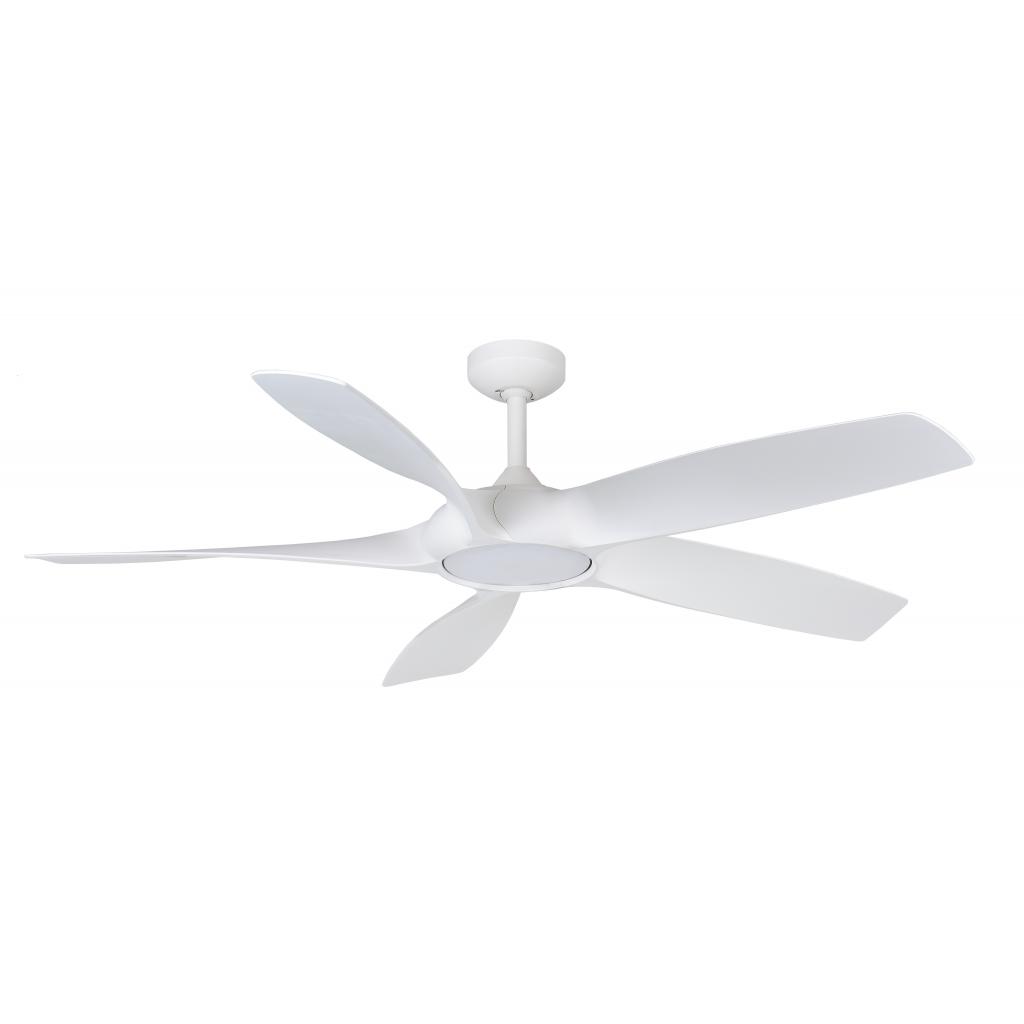 Ceiling Fans