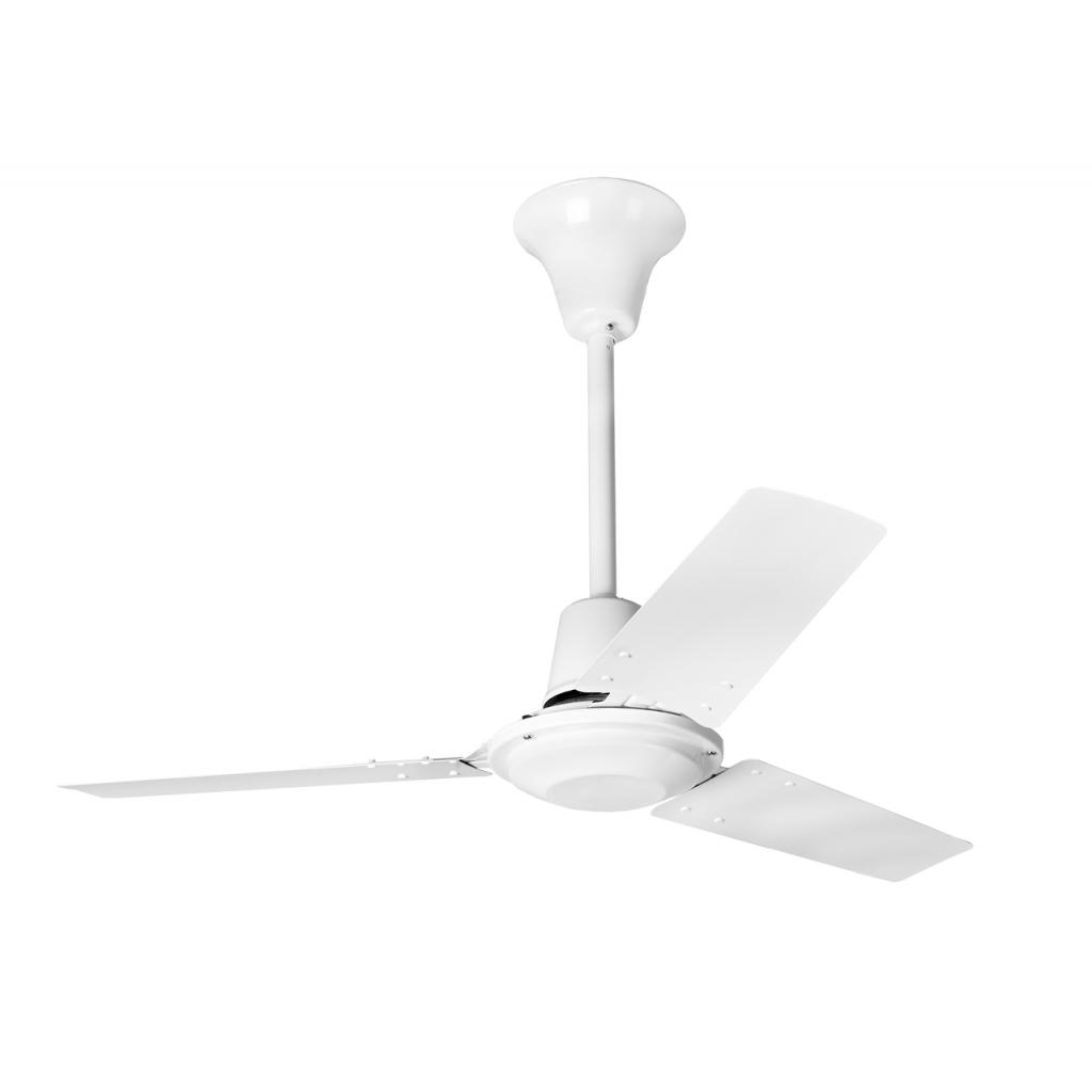 Ceiling Fans