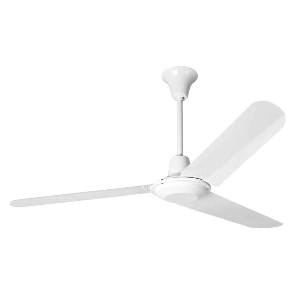 Ceiling Fans