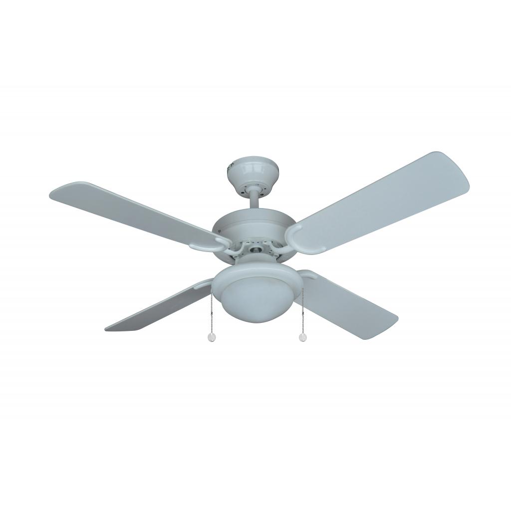 Ceiling Fans