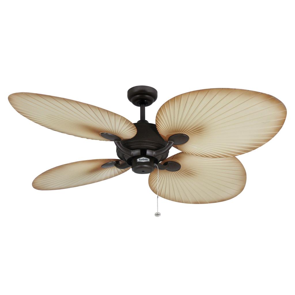Ceiling Fans