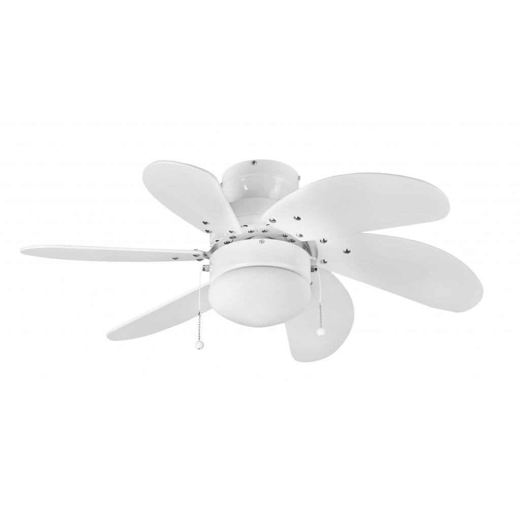 Ceiling Fans