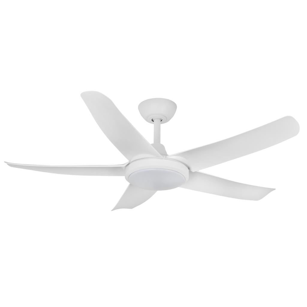 Ceiling Fans